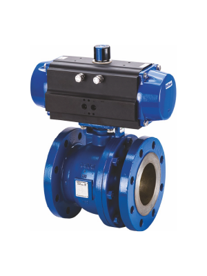Flanged Floating - Sapphire Controls
